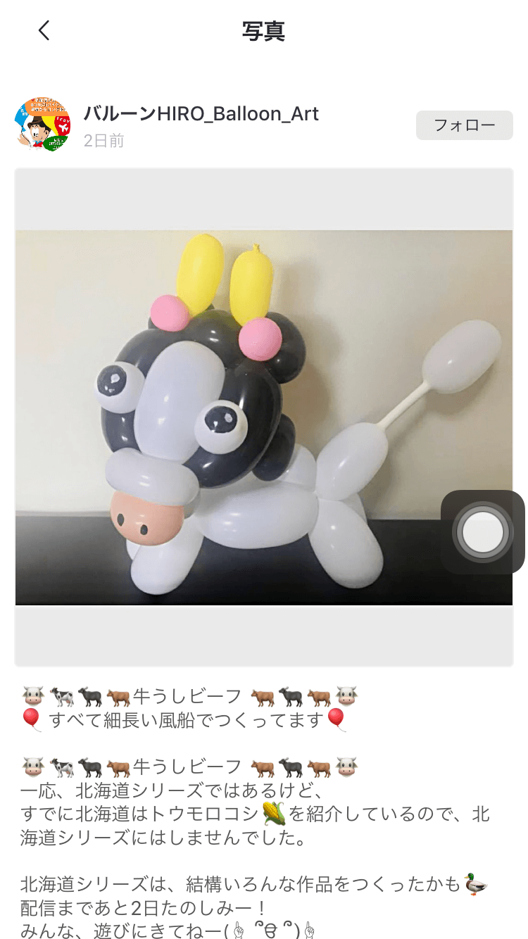 【17(イチナナ)ライブ】ライバーのバルーンHIRO_Balloon_Artさんってどんな人？ | ライブ配信ナビ